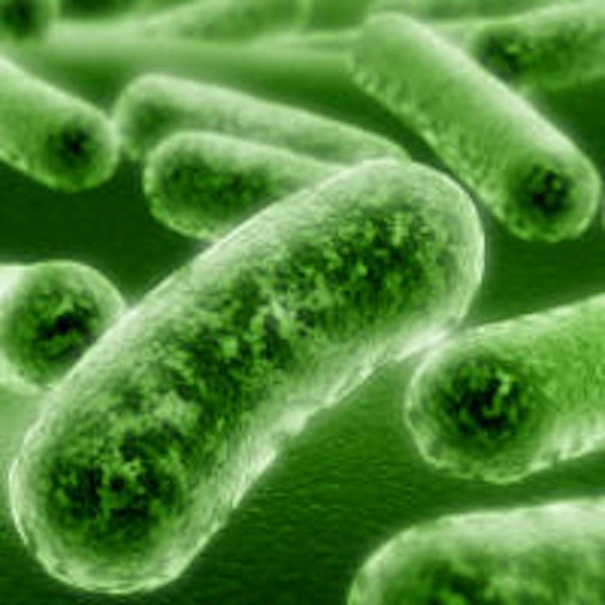 Complement inhibitor treatment shows promise for periodontitis ...